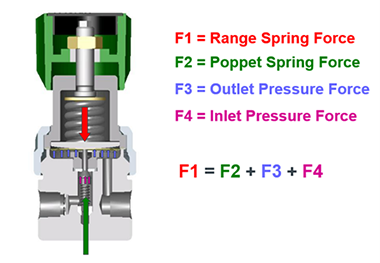 Regulator Flow Curves Introduction | Swagelok